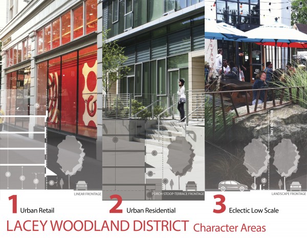 Woodland District Hybrid Form Based Code - Form-Based Codes Institute ...
